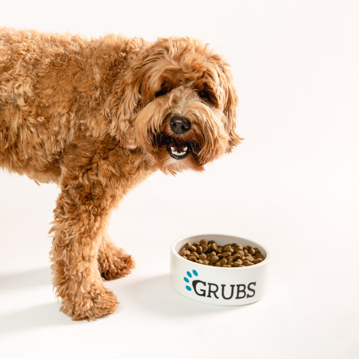 Proefpakket Grubs Insect Dogfood – Grubs Dog Food